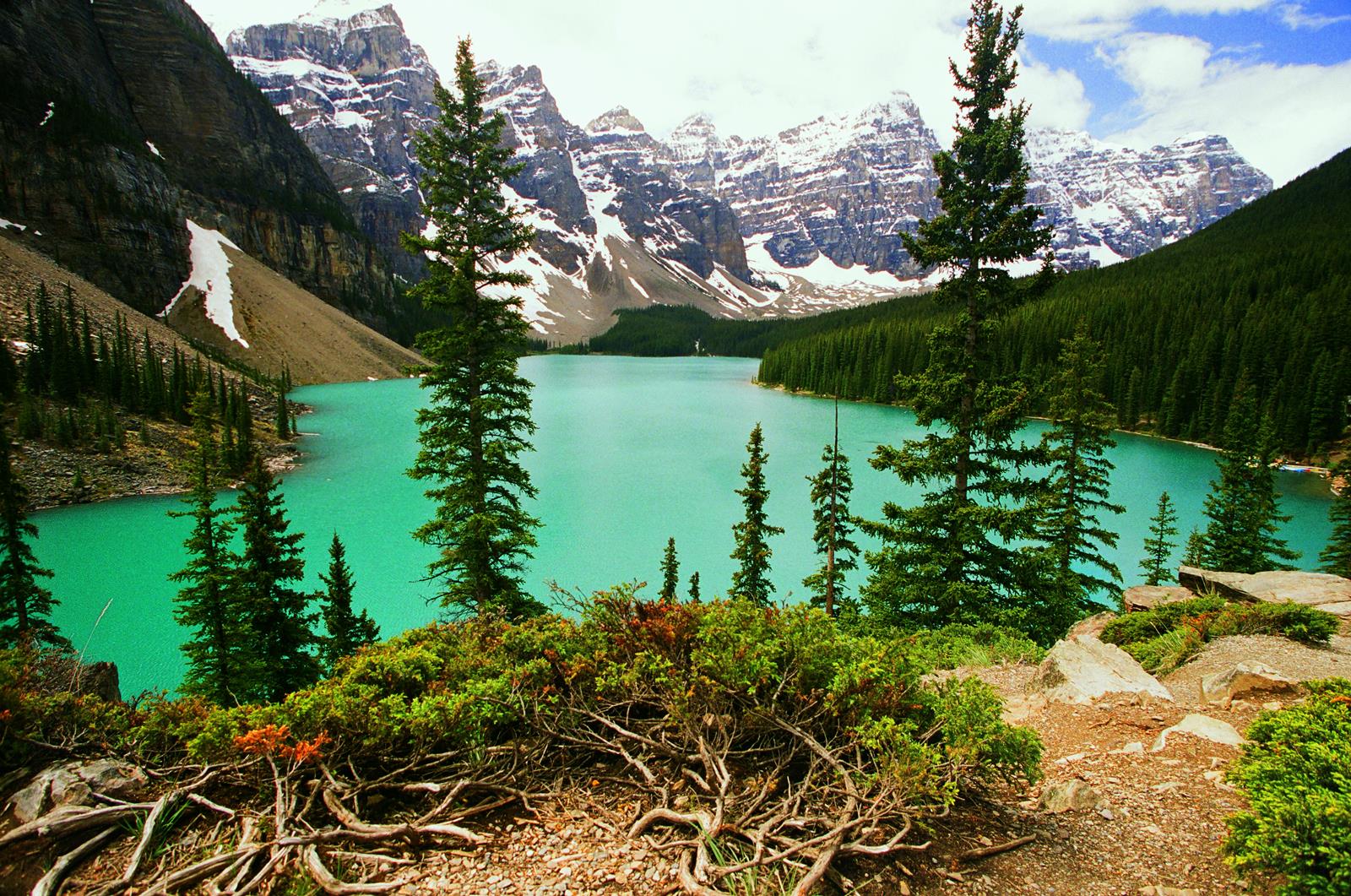 Nature Stories Around the World - The Resilient Activist