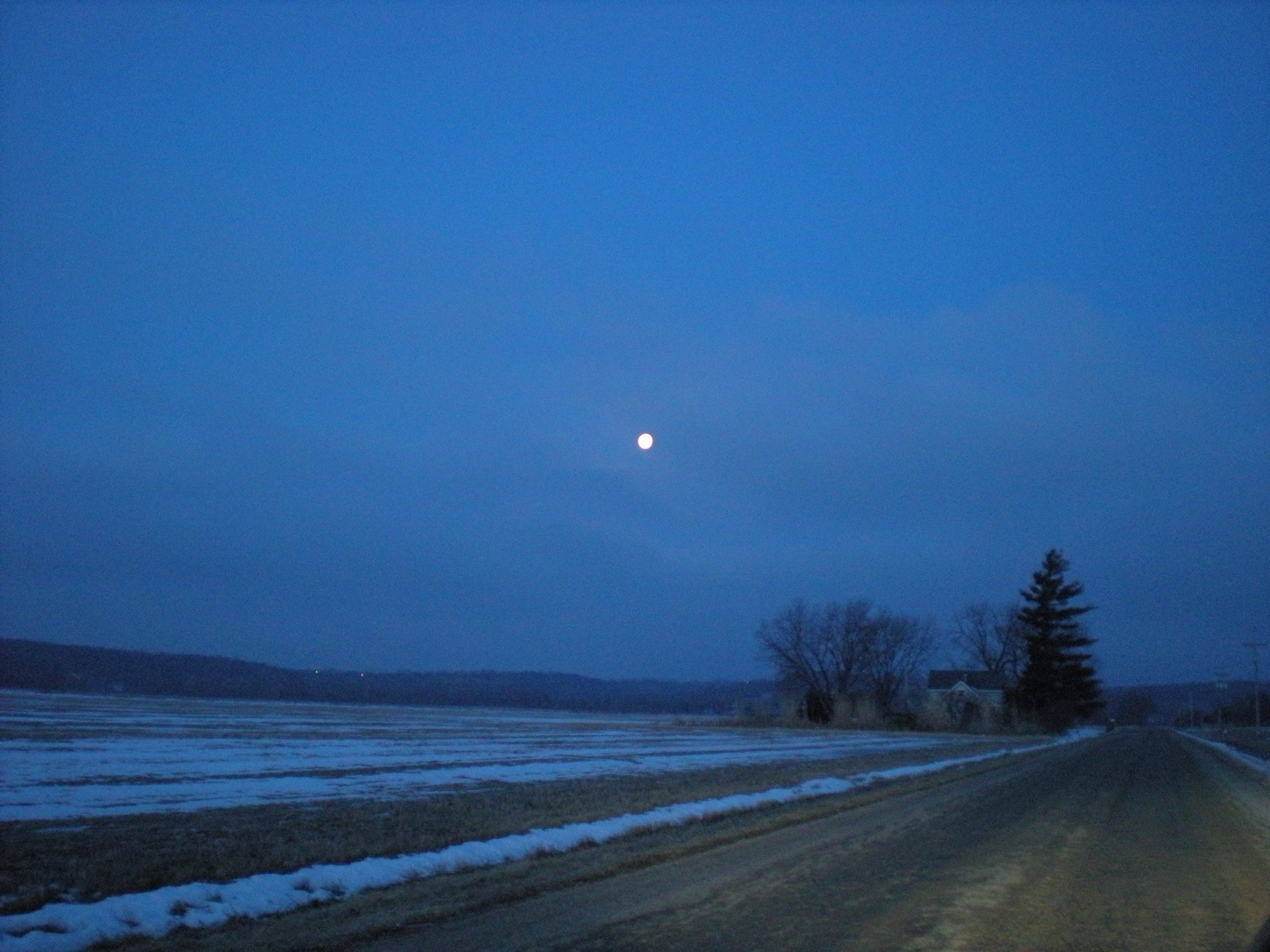 dawn_moon – The Resilient Activist