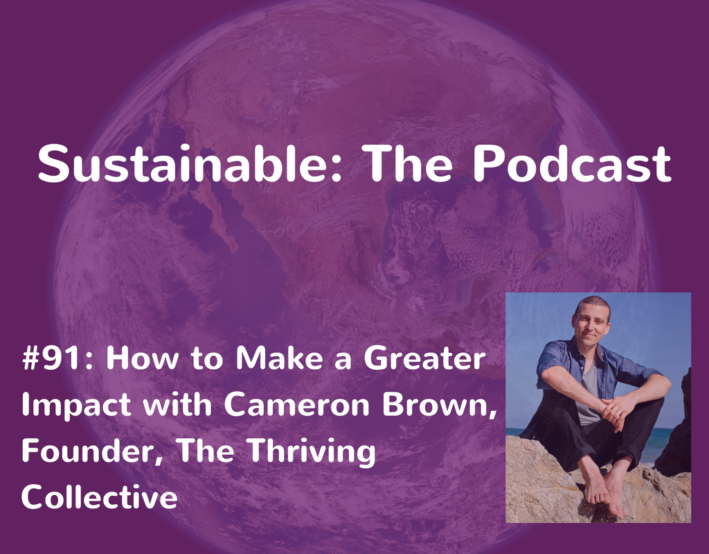 Sustainable: The Podcast - The Resilient Activist