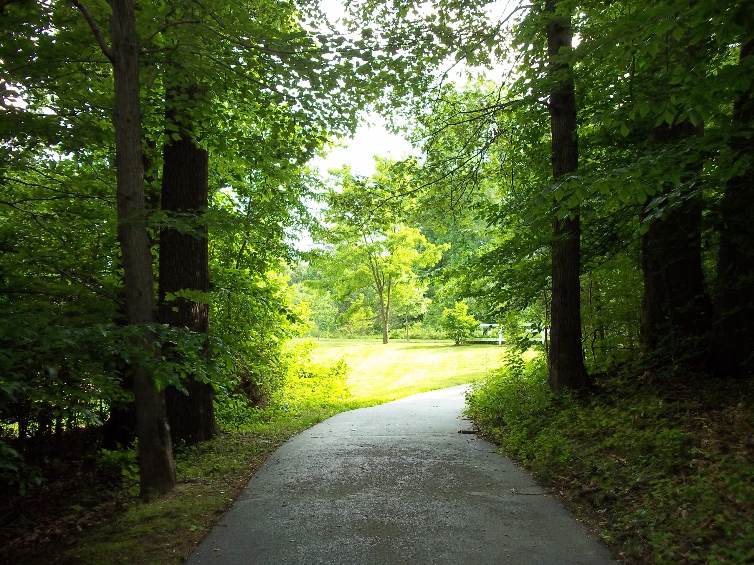 Find Your Best Self in Nature - The Resilient Activist
