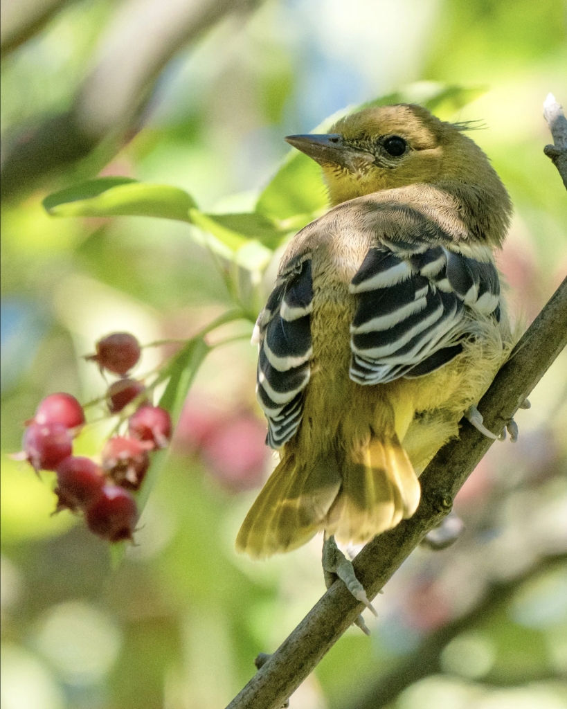 Why We Need a Life-Sustaining Economy | Moving From Scarcity to ...